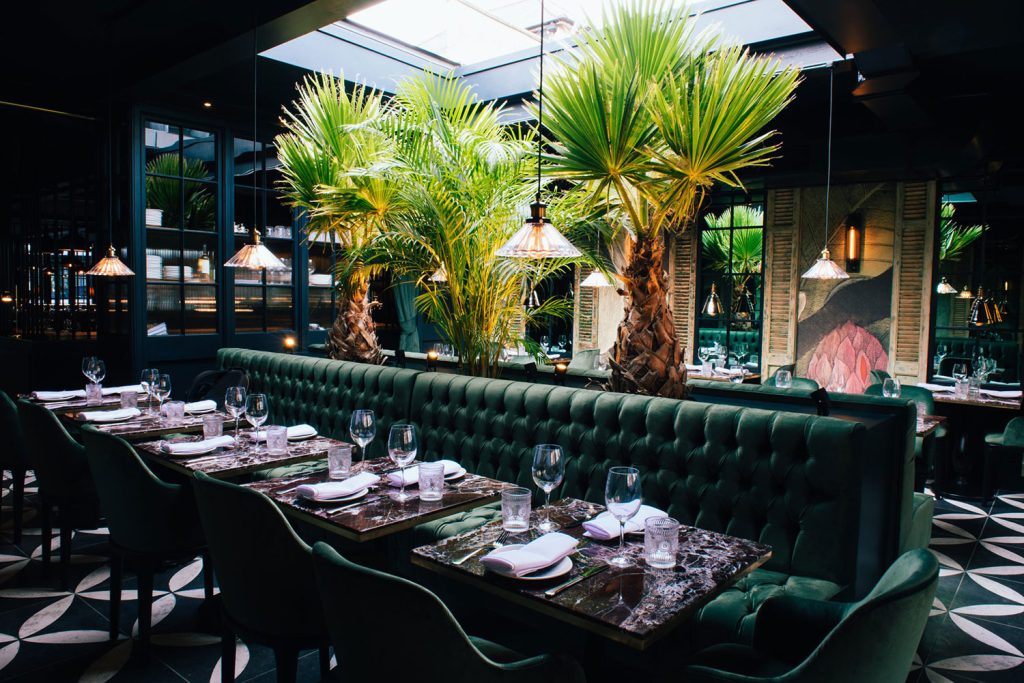 Figo Brentwood - FIGO